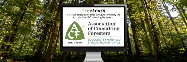 TreeLearn
